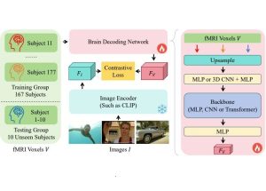 Brain, Language, and Computation Lab