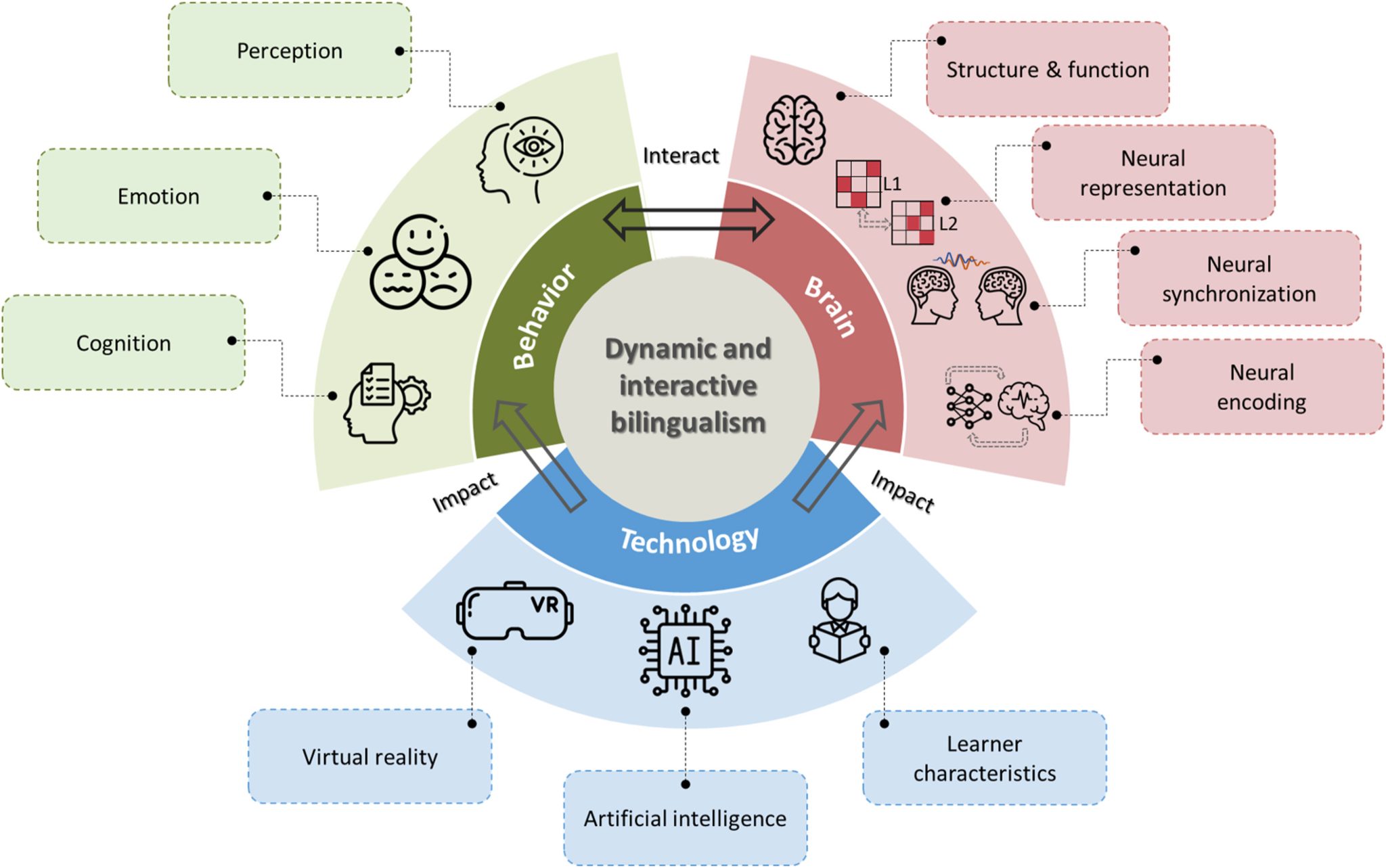 Sep 2025 – Brain, Language, and Computation Lab