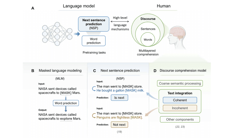Brain, Language, and Computation Lab