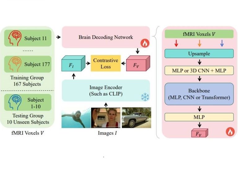 Brain, Language, and Computation Lab