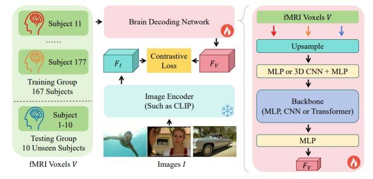Brain, Language, and Computation Lab