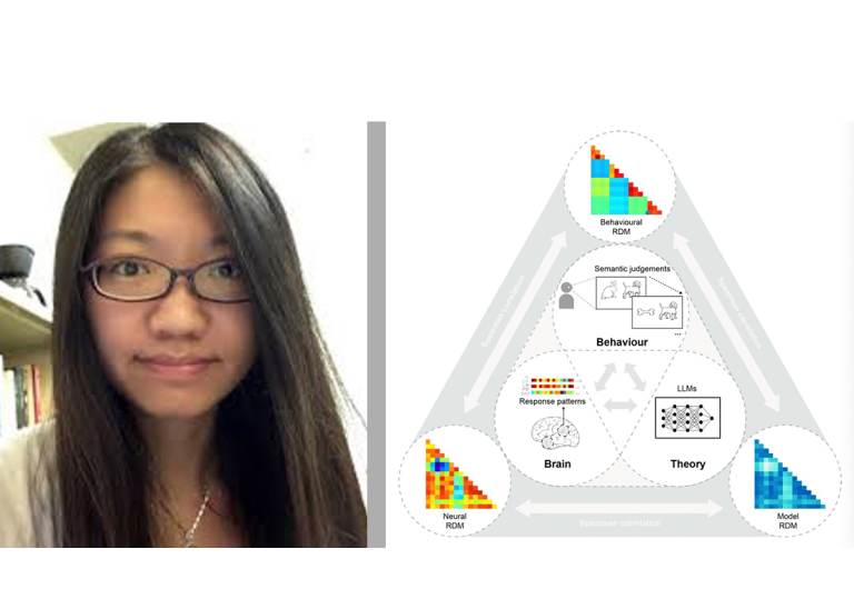 Brain, Language, and Computation Lab