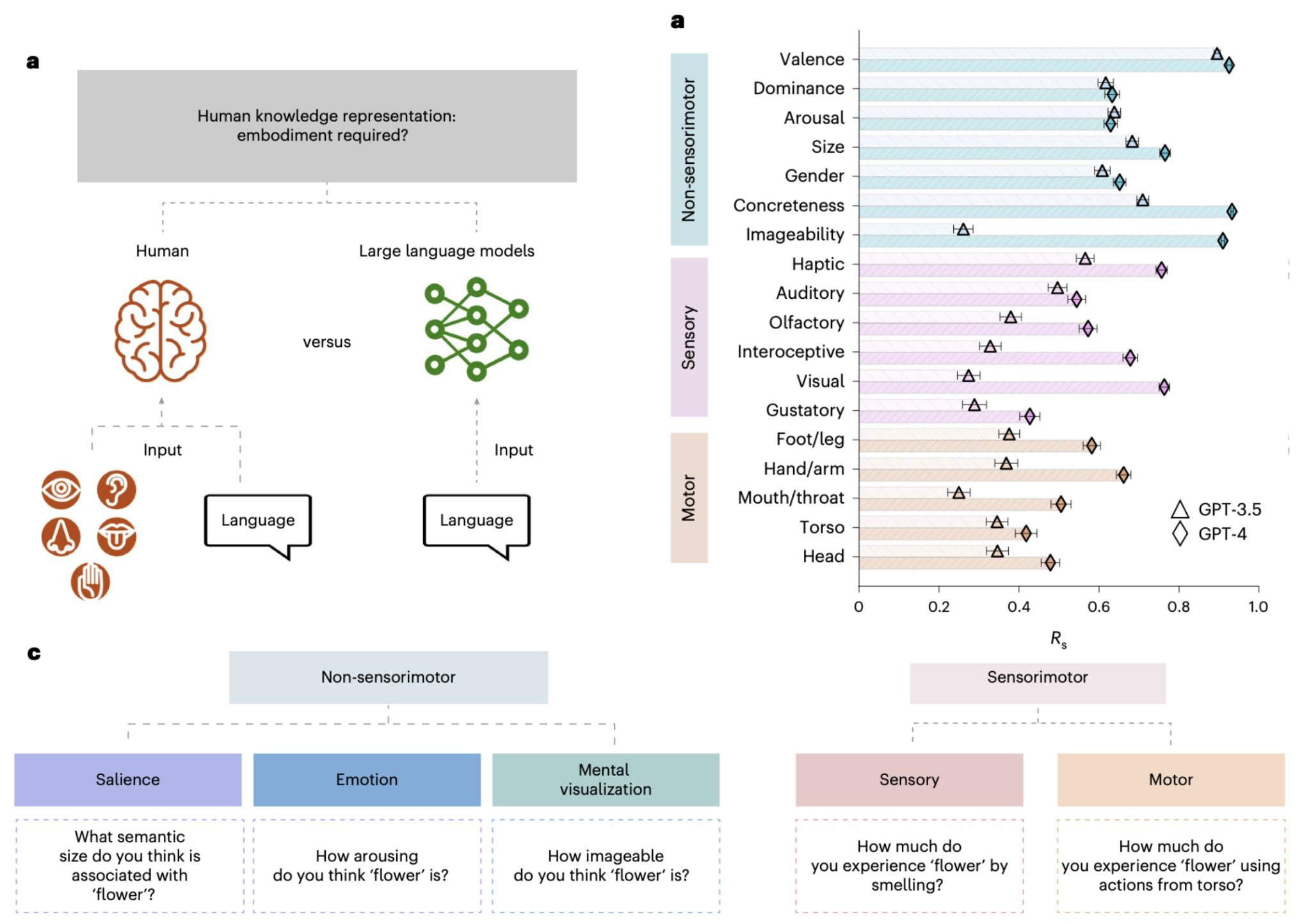 Brain, Language, and Computation Lab