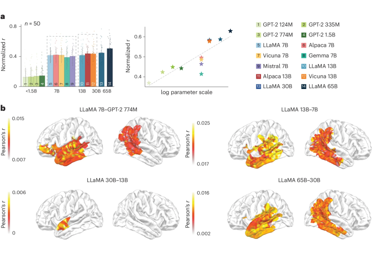 Brain, Language, and Computation Lab